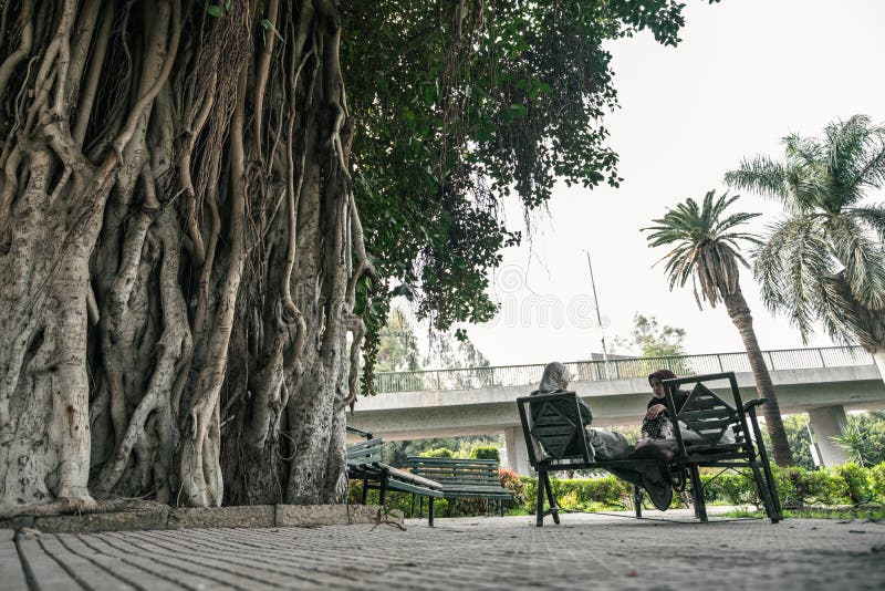 Al Horreya Garden in the Cairo, Egypt Editorial Stock Photo - Image of ...