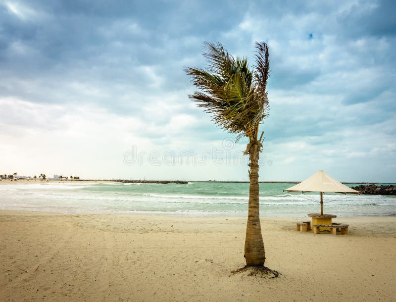 Al Mamzar beach stock photo. Image of winter, picknic - 104265726