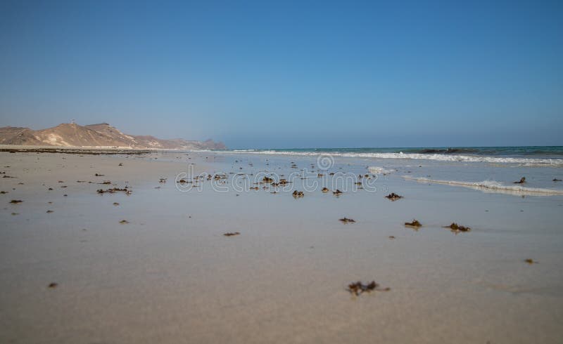Al Mughsail Beach, Salalah, Oman Stock Photo - Image of coastline ...