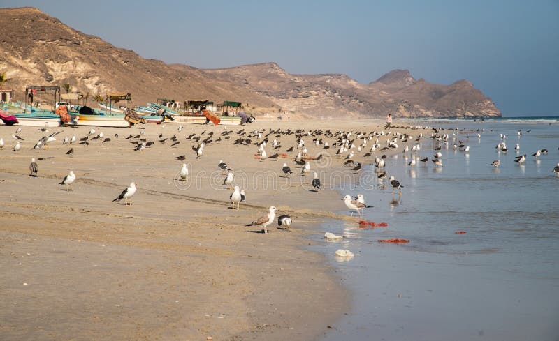 Al Mughsail Beach, Salalah, Oman Stock Image - Image of oman, mughsail ...