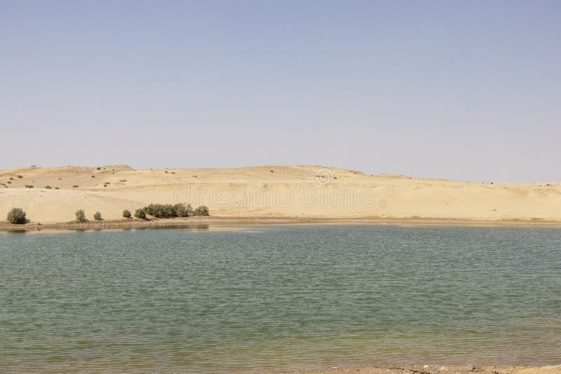 211 Al Wathba Stock Photos - Free & Royalty-Free Stock Photos from ...