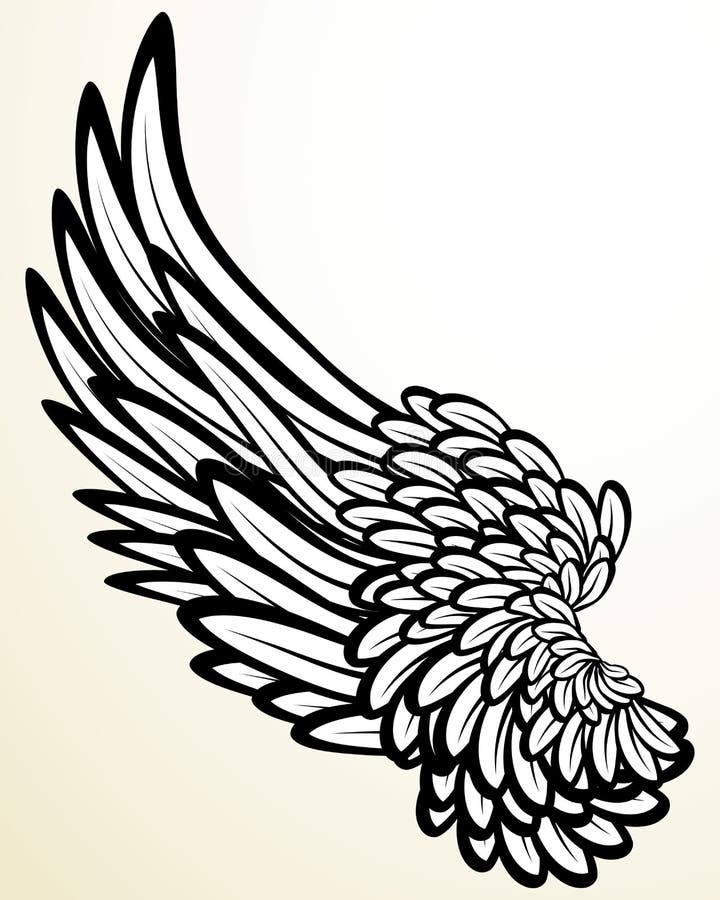 Ala illustrazione vettoriale. Illustrazione di cielo, crociera - 8139626