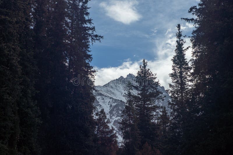 Ala-Archa River Wooded Mountain Gorge Stock Photo - Image of kyrgyzstan ...