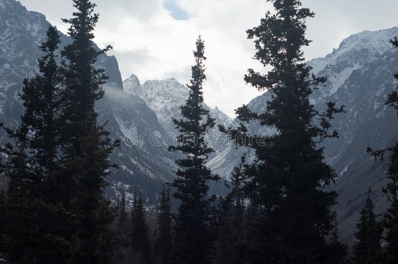 Ala-Archa River Wooded Mountain Gorge Stock Photo - Image of ...