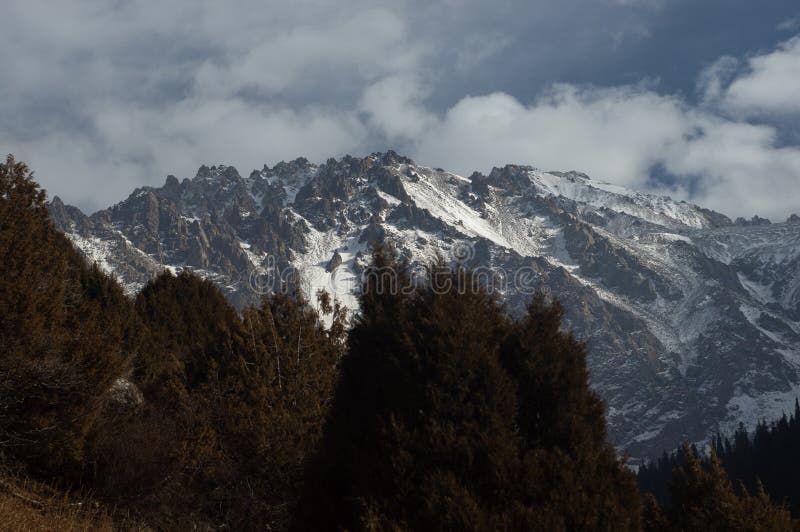 Ala-Archa River Wooded Mountain Gorge Stock Photo - Image of footing ...