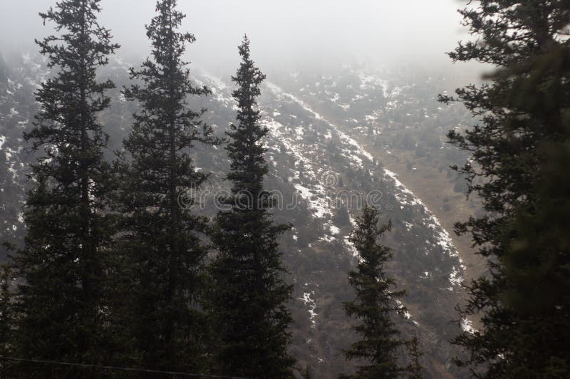 Ala-Archa River Wooded Mountain Gorge Stock Photo - Image of footing ...
