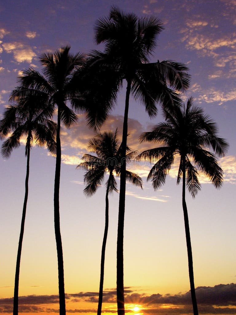 7,499 Sanitacija Ala Stock Photos - Free & Royalty-Free Stock Photos ...