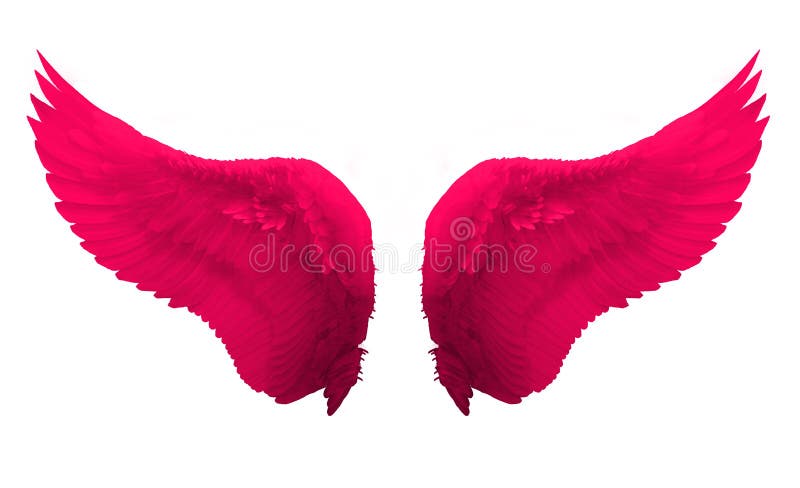 Ala rosa di angelo isolata fotografia stock. Immagine di volo - 35179536