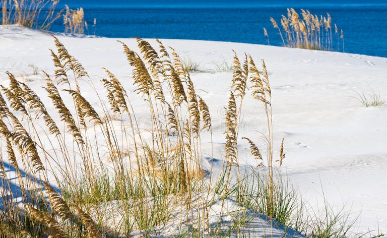 166,506 Gulf Coast Fractionators Stock Photos - Free & Royalty-Free ...