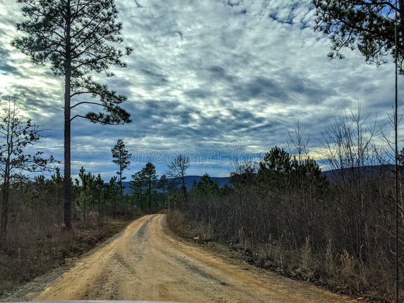 Alabama Logging Horizon stock photo. Image of skies - 175236598