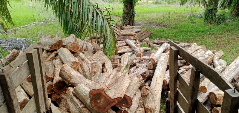 Alaban Stock Photos - Free & Royalty-Free Stock Photos from Dreamstime