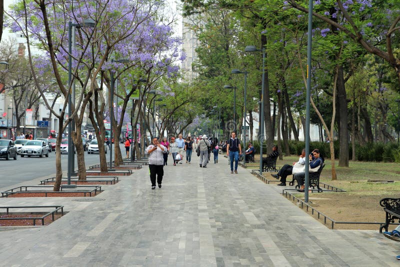 Alameda Central Park in Mexico City. Stock Photo - Image of tropical ... Alameda Central Park in Mexico City. Stock Photo - Image of tropical ...