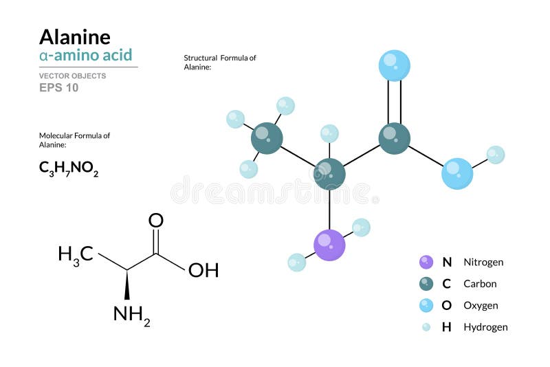 Alanine L-alanine, Ala, a Amino Acid Molecule. 3D Rendering Stock ...