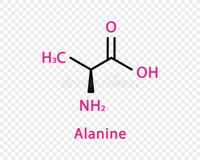 Alanine Chemical Formula. Alanine Structural Chemical Formula Isolated ...