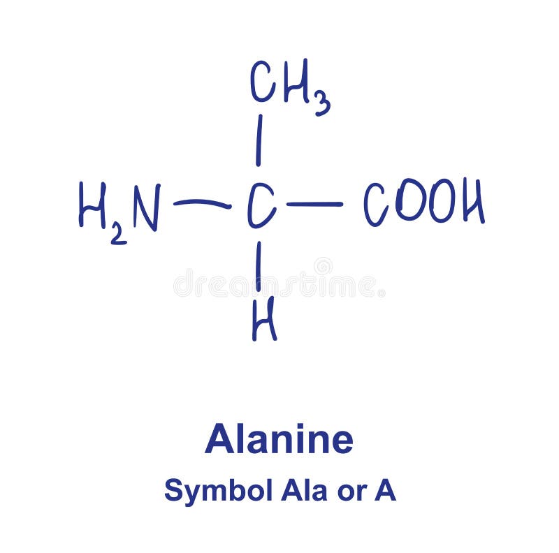 Alanine Chemical Structure. Vector Illustration Hand Drawn Stock Vector ...