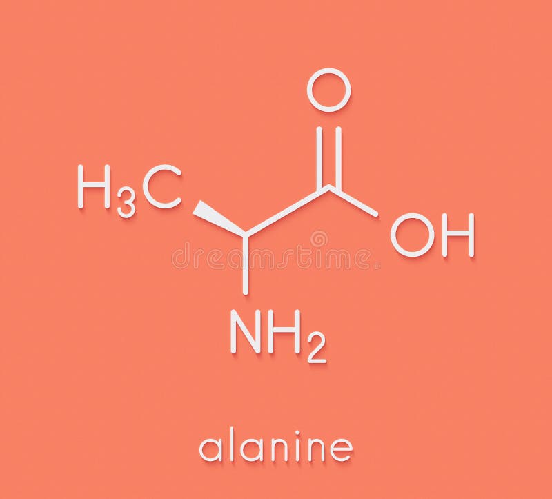 Alanine Ala amino acid stock vector. Illustration of chemical - 156578517