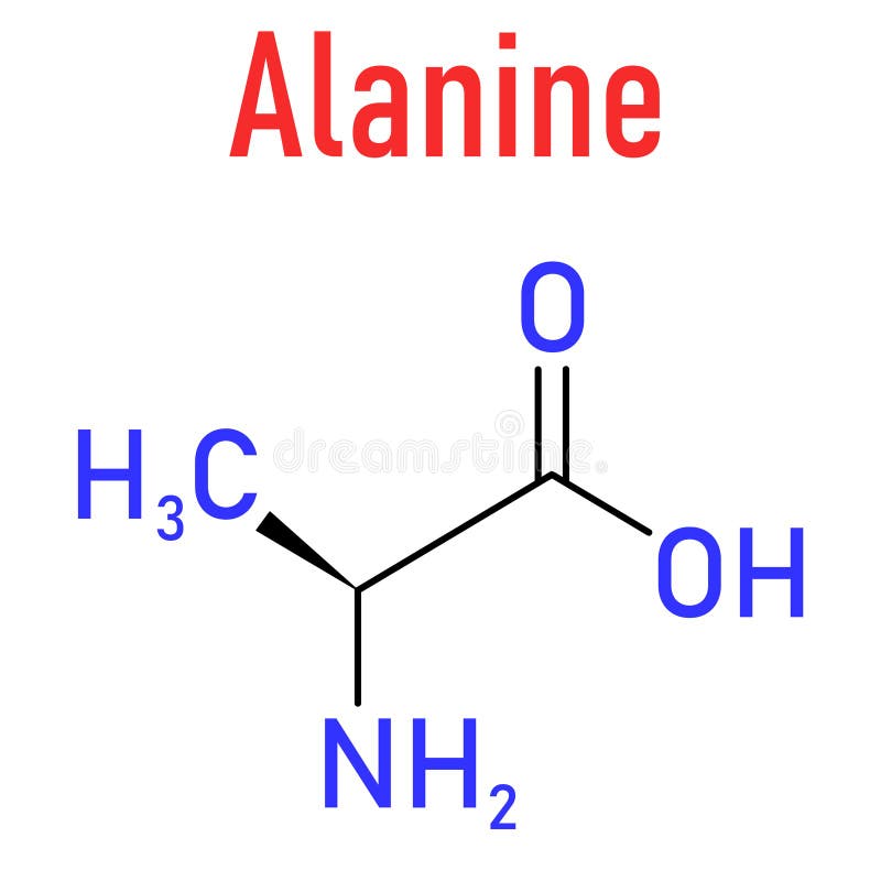 Alanine or L-alanine, Ala, a, Amino Acid Molecule. Skeletal Formula ...