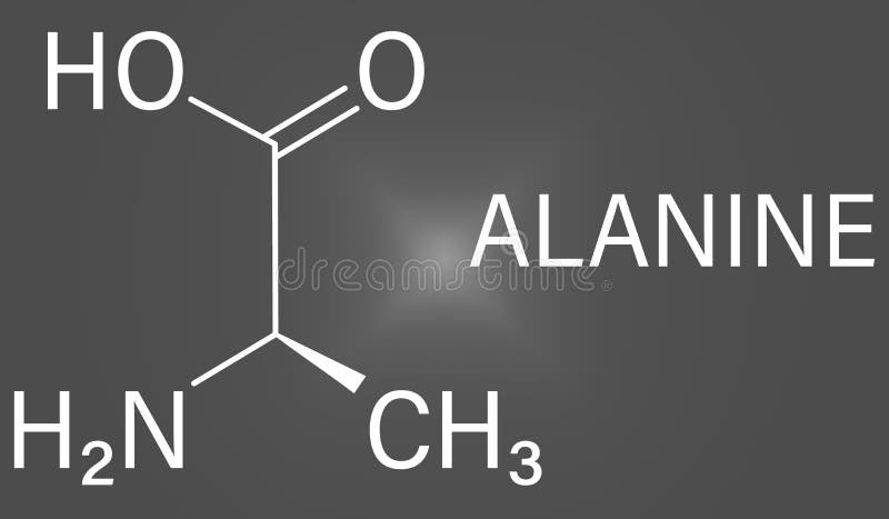 Alanine or L-alanine, Ala, a, Amino Acid Molecule. Skeletal Formula ...