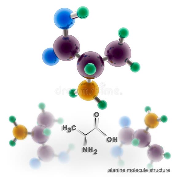 Alanine molecule structure stock illustration. Illustration of hydrogen ...