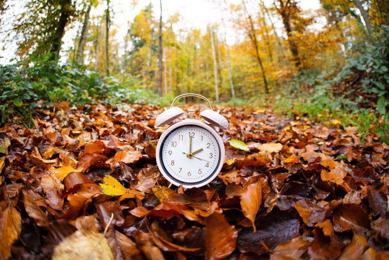 Alarm Clock with Autumn Foliage, End of Daylight Saving Time in Fall ...