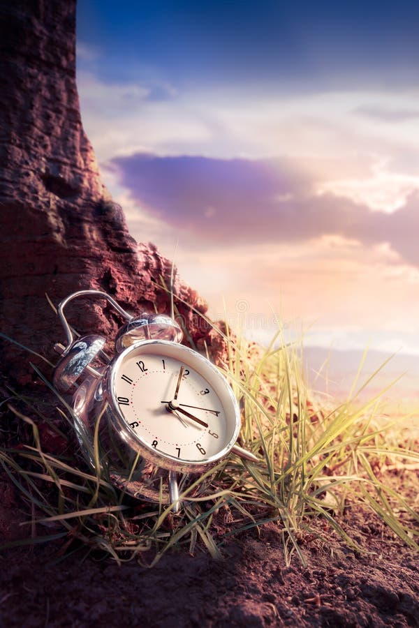 Alarm Clock on Grass at Sunset or Sunrise/ Time Concept Stock Photo ...