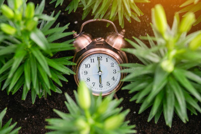 Alarm Clock Morning Wake-up Time Stock Photo - Image of green ...
