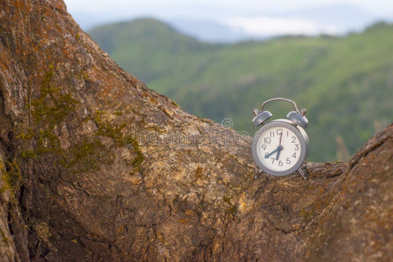 Alarm Clock with Natural Scenery in the Morning Stock Photo - Image of ...