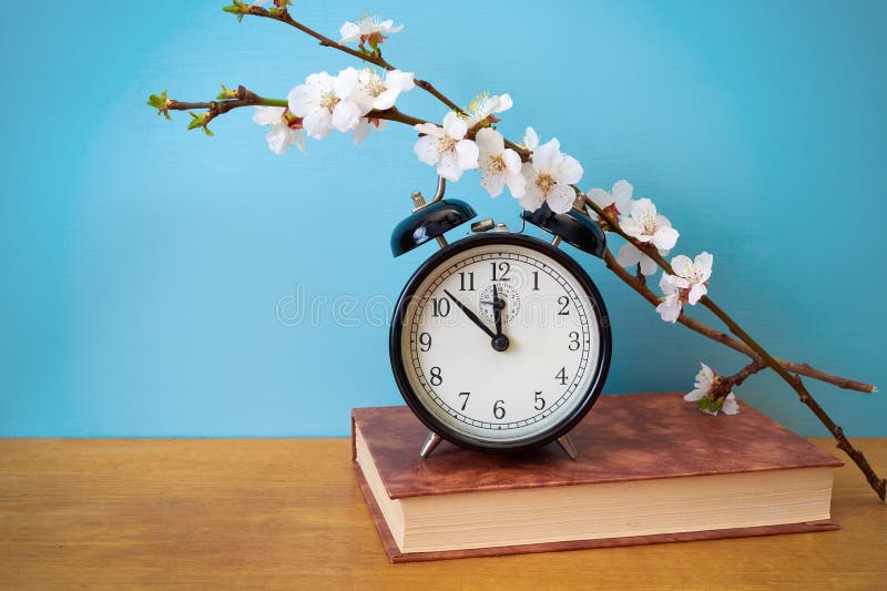Alarm Clock and Spring Blooming Branches on Wooden Table Stock Image ...