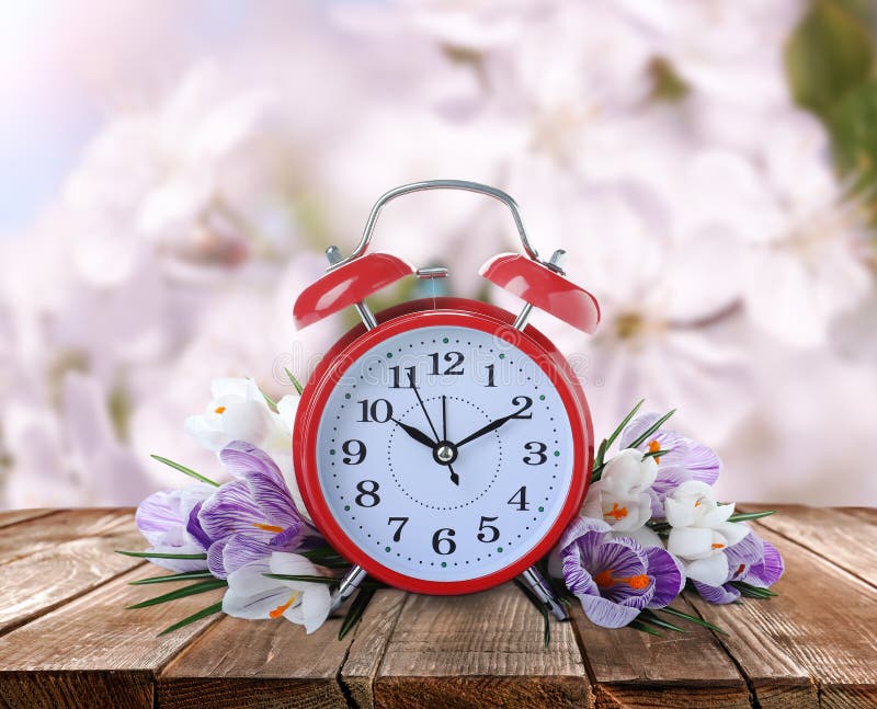 Alarm Clock and Spring Flowers on Wooden Table. Time Change Stock Photo ...
