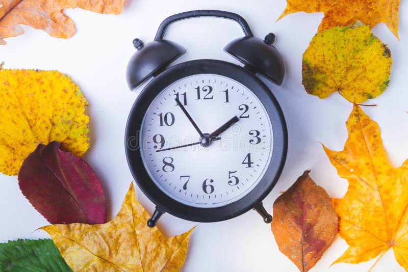Alarm Clock on White Background and Autumn Leaves of Different Colors ...