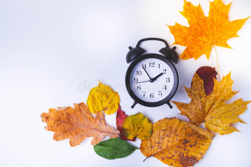 Alarm Clock on White Background and Autumn Leaves of Different Colors ...