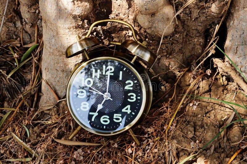 Alarm O Clock Showing 7 O Clock on Soil Near To Tree Stock Video ...