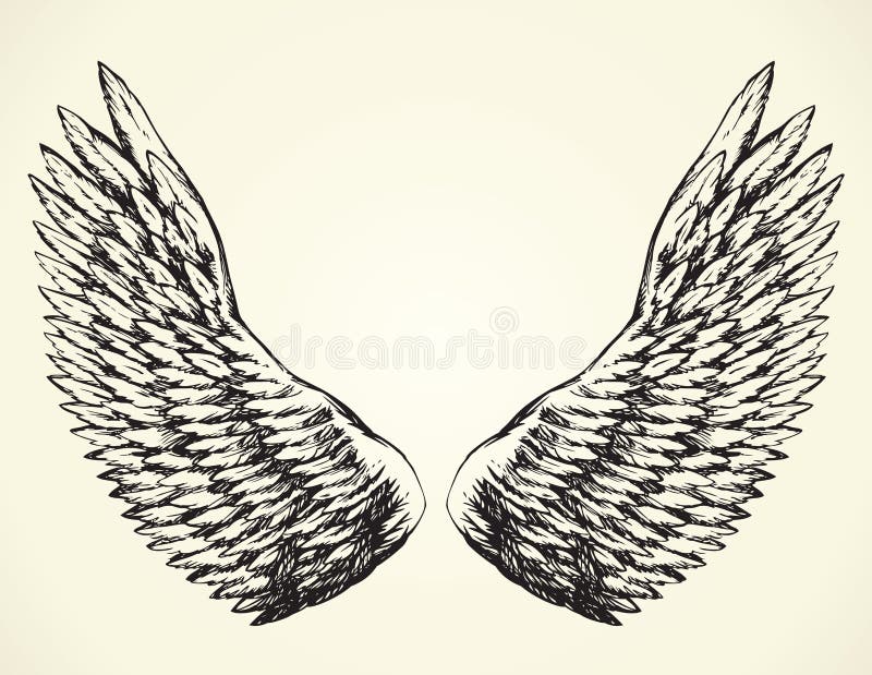 Alas Extendidas Gráfico Del Vector Ilustración del Vector - Ilustración ...