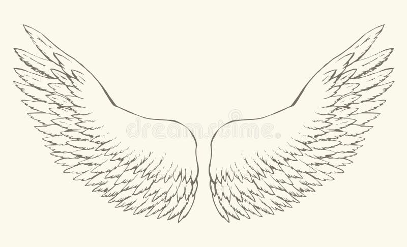Alas Extendidas Gráfico Del Vector Ilustración del Vector - Ilustración ...