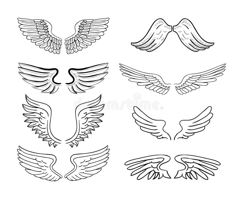 Alas Fijadas, Ejemplos Del Vector Ilustración del Vector - Ilustración ...