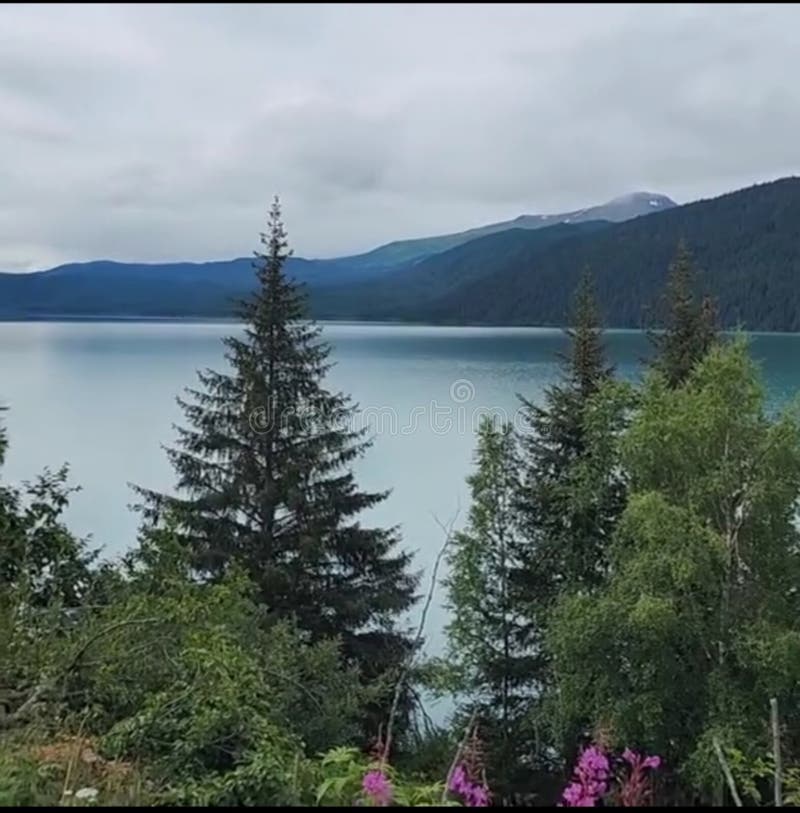 Alaska Beautiful Nature stock image. Image of alaska - 331487711