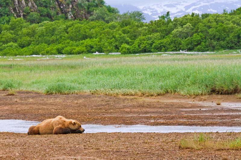 18,123 Images River Runs Stock Photos - Free & Royalty-Free Stock ...