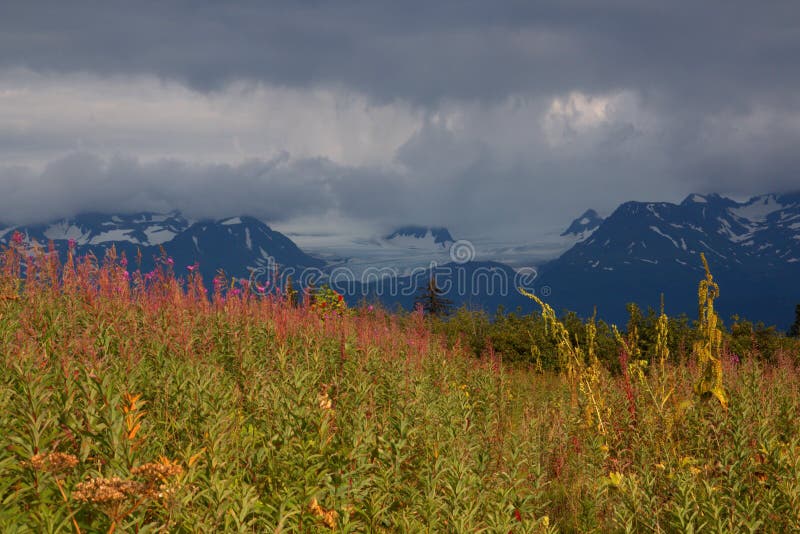 Alaska Landscape stock image. Image of british, northwest - 171627291
