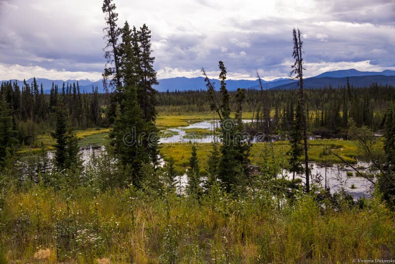 Alaska landscape in summer stock image. Image of water - 87163407