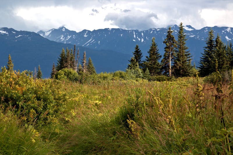 Alaska Meadows and Mountains Stock Photo - Image of america, panorama ...
