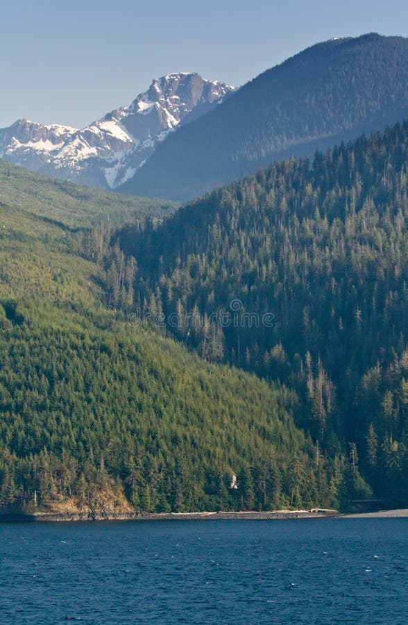 Alaska Mountains stock image. Image of alaska, forest - 10946557