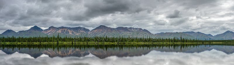 Alaska Pine Tree Forest Reflection on a Lake 32:9 Ultrawide Stock Image - Image of tree, river ...