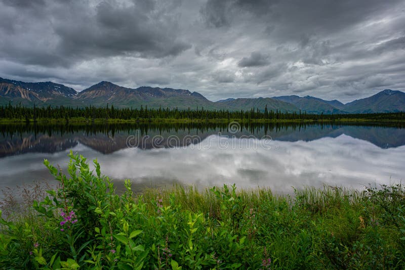 Alaska Pine Tree Forest Reflection on a Lake 32:9 Ultrawide Stock Image ...