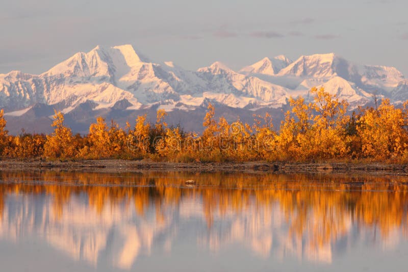 Alaska Range in Denali stock photo. Image of fall, lake - 121088750