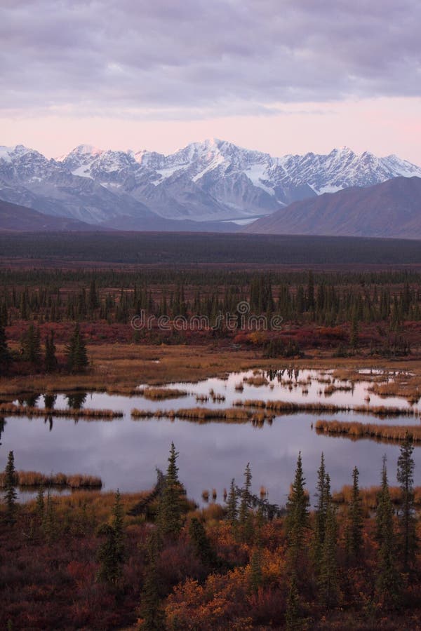 Alaska Range in Denali stock photo. Image of desolate - 121088752