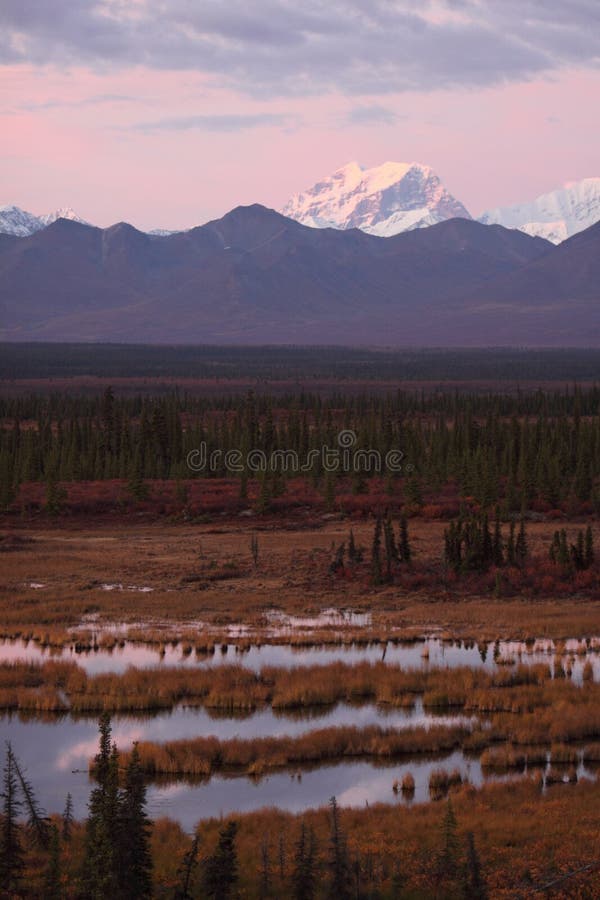 Alaska Range in Denali stock image. Image of horizon - 121088853