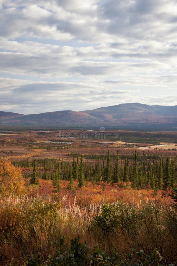 Alaska Range in Denali stock photo. Image of capped, mountain - 36432896