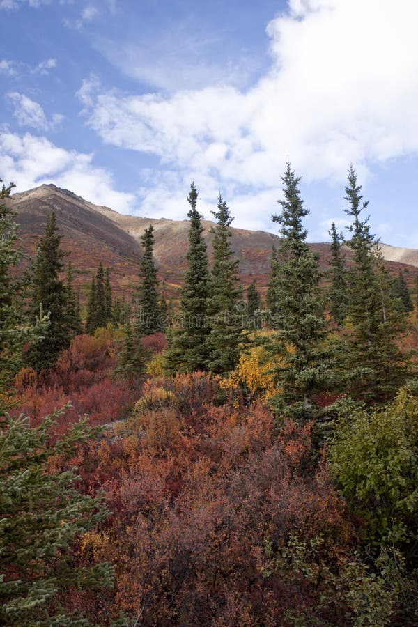 Alaska Range in Denali stock photo. Image of beautiful - 36432912