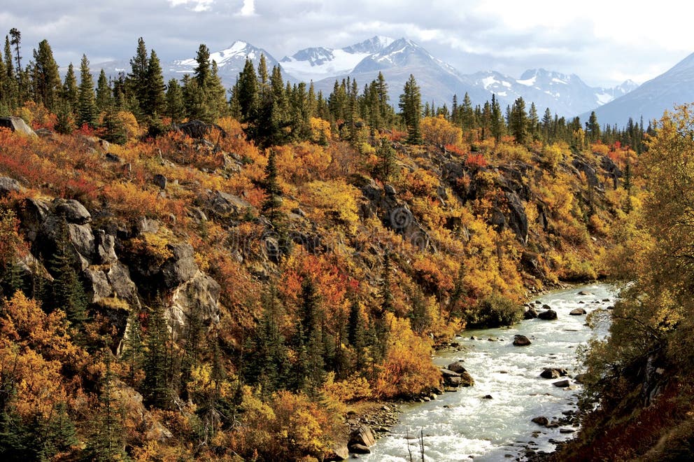 Alaska River stock image. Image of snow, tourism, forest - 18386549