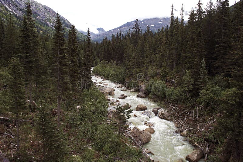 Alaska River stock photo. Image of rapids, rocks, roaring - 51643624